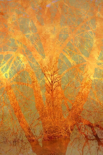 Liz Ruest - 1 Artwork, Bio & Shows on Artsy