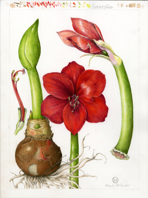 Wendy Hollender - 1 Artwork, Bio & Shows on Artsy
