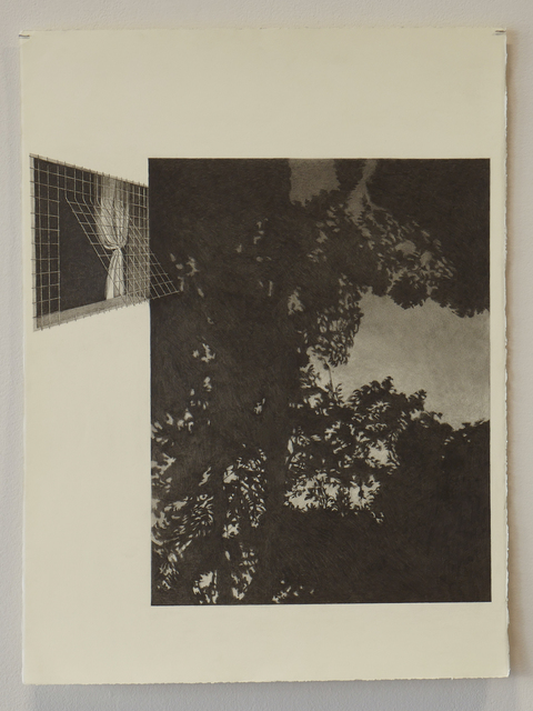 Corrie Thompson - 12 Artworks, Bio & Shows on Artsy