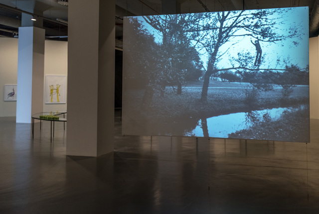 Bas Jan Ader | Broken Fall (Organic) (1971) | Artsy