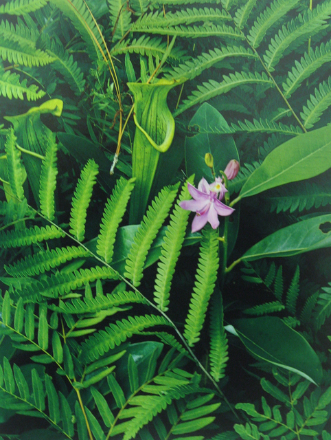 Jim Bones - 1 Artwork, Bio & Shows on Artsy