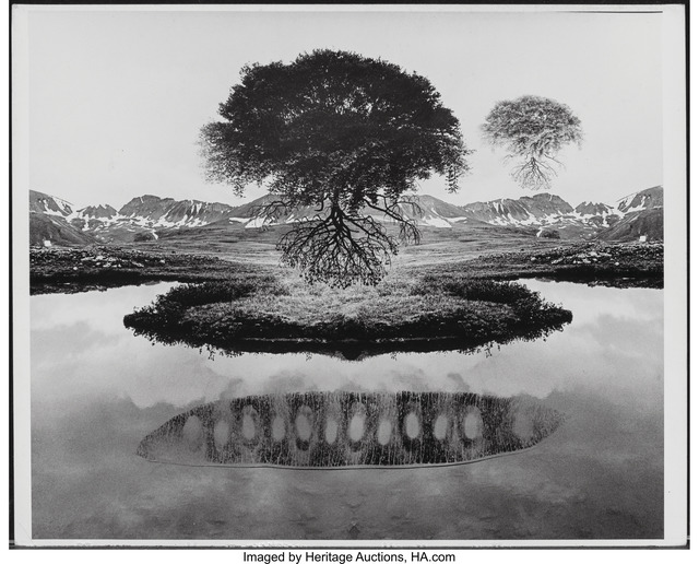 Jerry Uelsmann | Untitled (Floating tree and pea pod) (1969) | Artsy