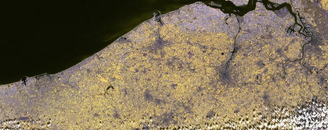 Morgan Mueller - 1 Artwork, Bio & Shows on Artsy