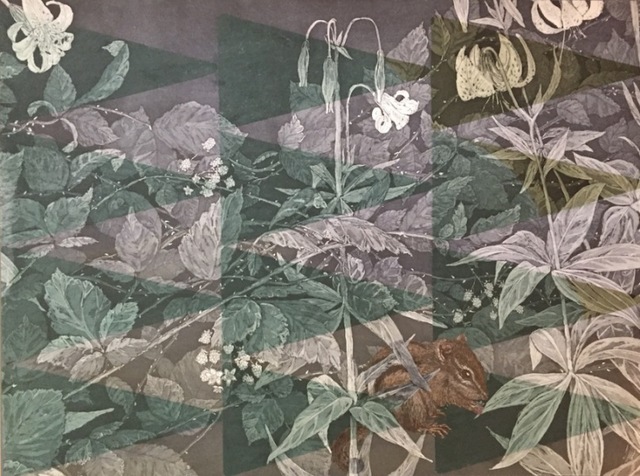 Julia Lucey - 93 Artworks, Bio & Shows on Artsy