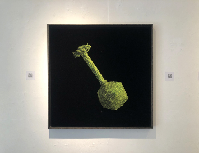 David Boyce - 18 Artworks, Bio & Shows on Artsy