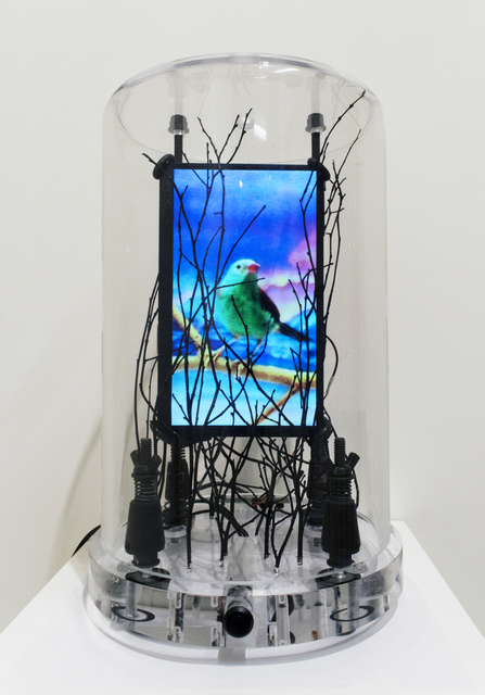 David Zimmer - 4 Artworks, Bio & Shows on Artsy