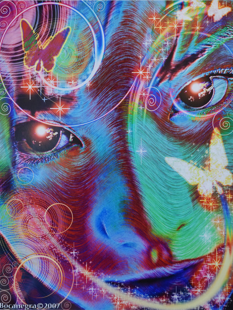 Edward Bocanegra - 2 Artworks, Bio & Shows on Artsy
