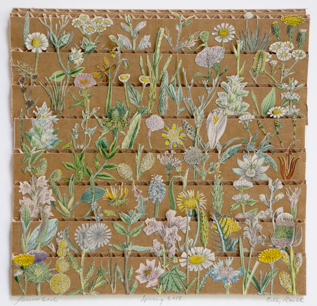 Billy Renkl - 14 Artworks, Bio & Shows on Artsy