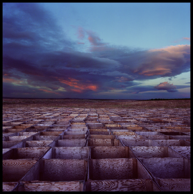 Jan Staller | Field of Boxes (Neg. date: 2001) | Artsy