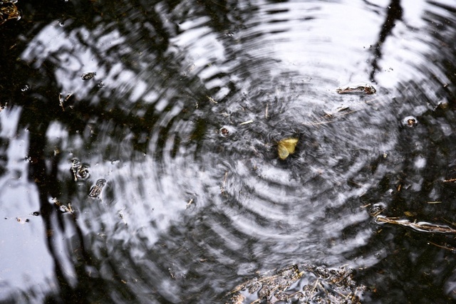 Jennifer Brinton Robkin - 8 Artworks, Bio & Shows on Artsy