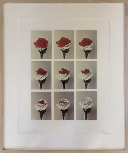 Susan Eder - 2 Artworks, Bio & Shows on Artsy