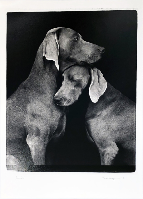 William Wegman | Friends (2010) | Artsy