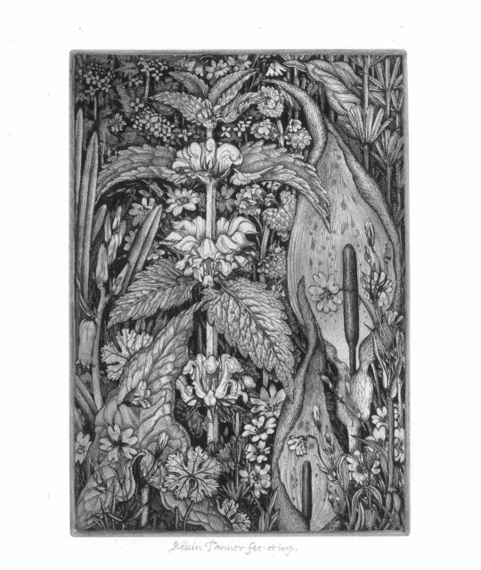 Robin Tanner - 8 Artworks, Bio & Shows on Artsy