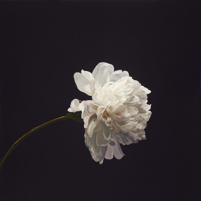 James Lahey - 63 Artworks, Bio & Shows on Artsy