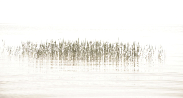 Bill Jackson - 56 Artworks, Bio & Shows on Artsy