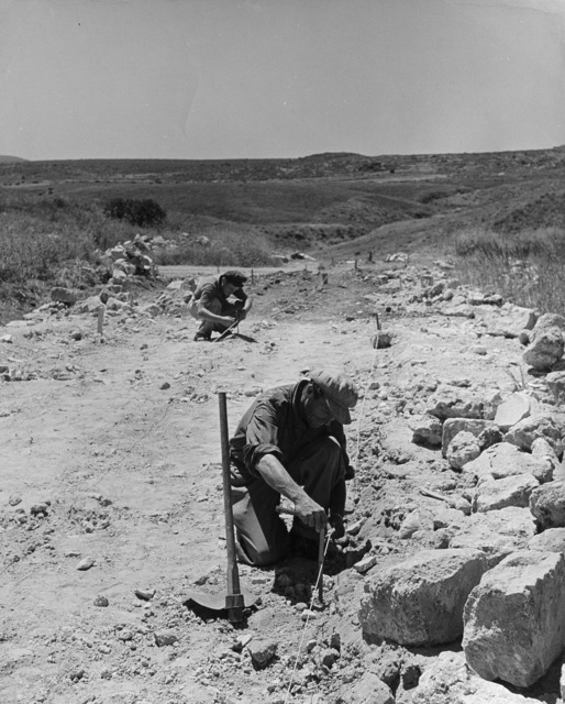 Robert Capa | Israel, the new settlements: Jechiam (1948-1950) | Artsy