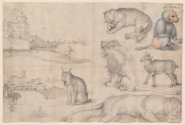 Albrecht Dürer | Sketches of Animals and Landscapes (1521) | Artsy