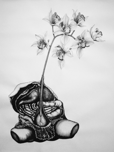 Kate Street - 11 Artworks, Bio & Shows on Artsy