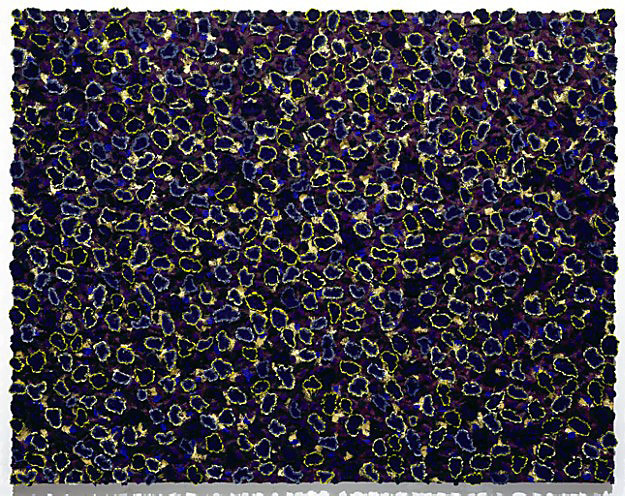 Nabil Nahas 21 Artworks Bio And Shows On Artsy