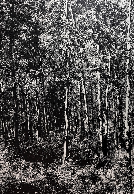 James Chronister - 36 Artworks, Bio & Shows on Artsy