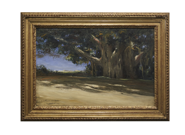 Georges Sabbagh | Les Sycomores du Vieux Caire (Old Cairo's Sycamore ...