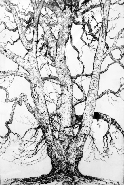 Derek Chambers - 2 Artworks, Bio & Shows on Artsy