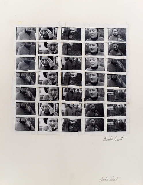 Cecelia Condit - 1 Artwork, Bio & Shows on Artsy