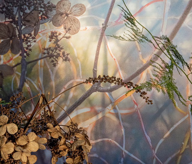 Barbara Ehlers - 4 Artworks, Bio & Shows on Artsy