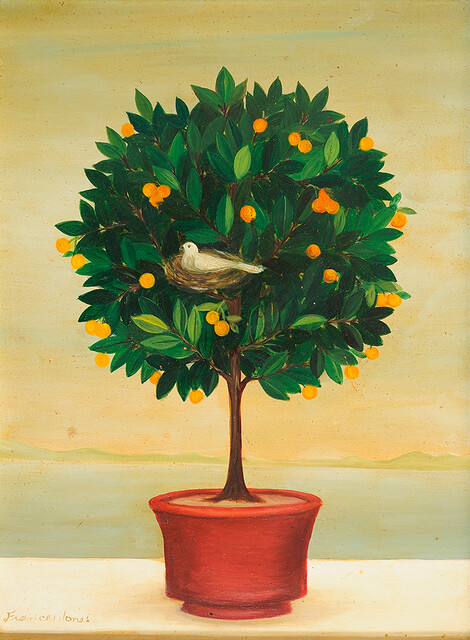 Frances Jones - 1 Artwork, Bio & Shows on Artsy
