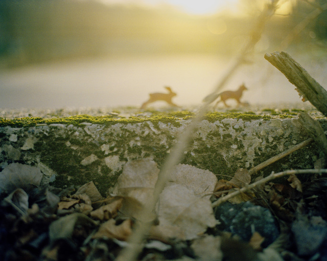 Susan Arthur Whitson - 8 Artworks, Bio & Shows on Artsy