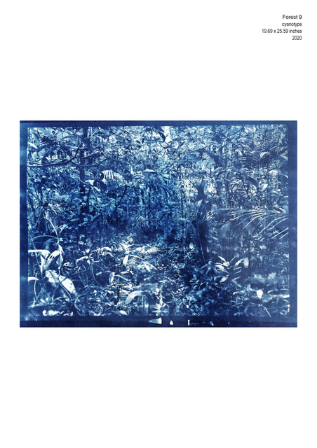 François Fleury - 5 Artworks, Bio & Shows on Artsy