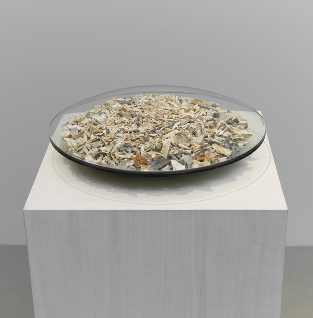 Agnes Denes - 31 Artworks, Bio & Shows on Artsy