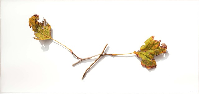 David Morrison - 54 Artworks, Bio & Shows on Artsy