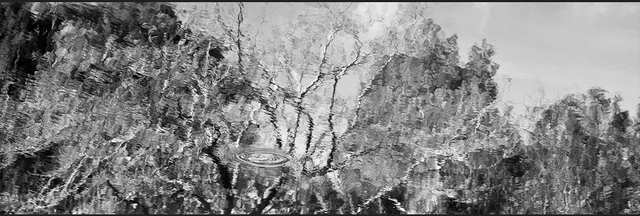 Daniel Ackerman - 77 Artworks, Bio & Shows on Artsy