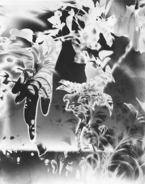 Floris Neusüss - 35 Artworks, Bio & Shows on Artsy