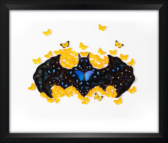 SN: Butterfly Skull | Eden Fine Art | Artsy