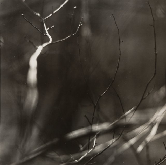 Ralph Eugene Meatyard | Untitled from the series Zen Twigs (circa 1960 ...