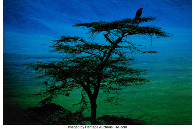 Pete Turner - 5 Artworks, Bio & Shows on Artsy