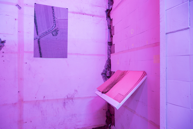 Cooking Sections - 6 Artworks, Bio & Shows on Artsy