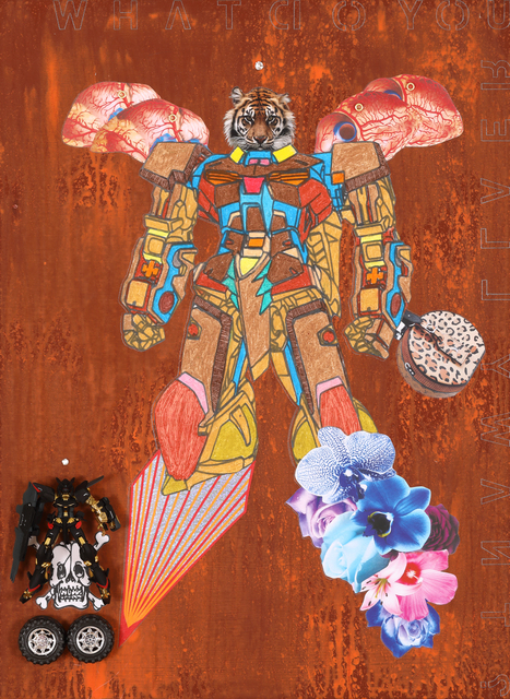 Nancy Lang - 32 Artworks, Bio & Shows on Artsy