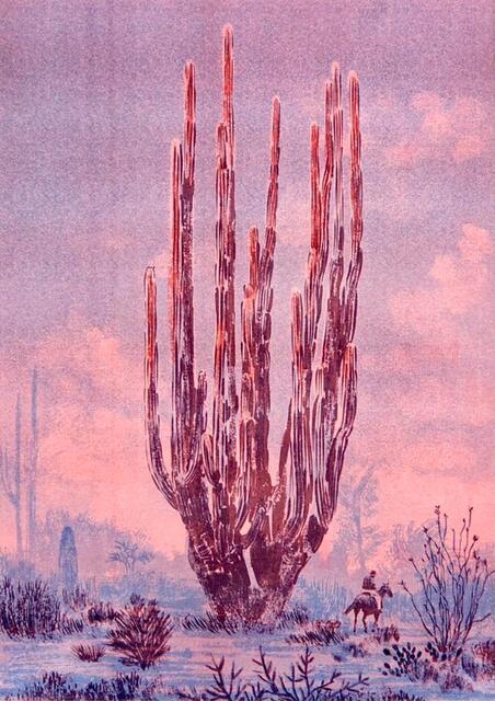 Andrew Sutherland - 2 Artworks, Bio & Shows on Artsy