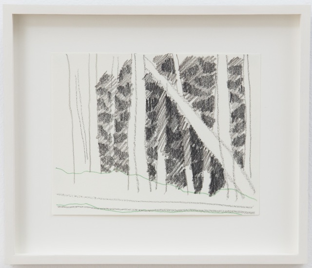 Parallel Lines: Bettina Blohm, Willie Cole, Carol Hepper, Joan Witek ...