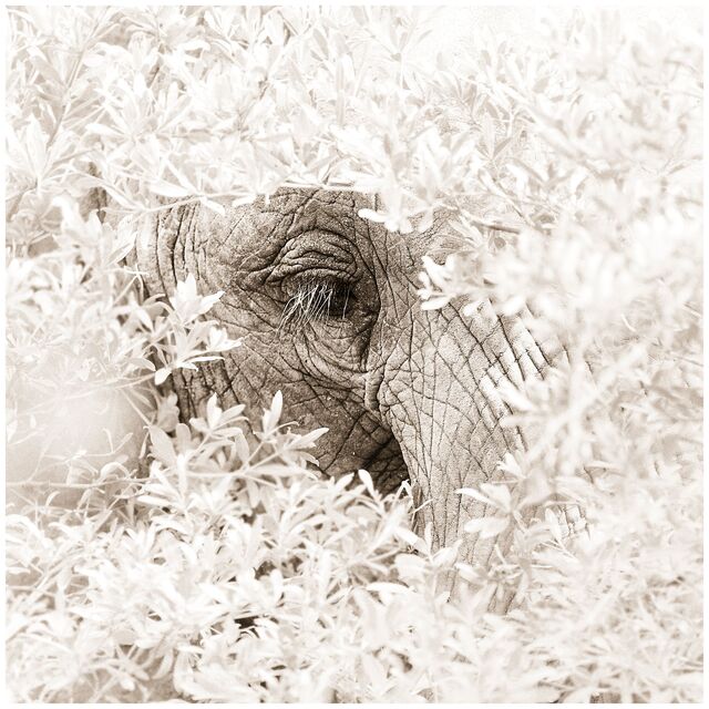 Graham Springer - 18 Artworks, Bio & Shows on Artsy