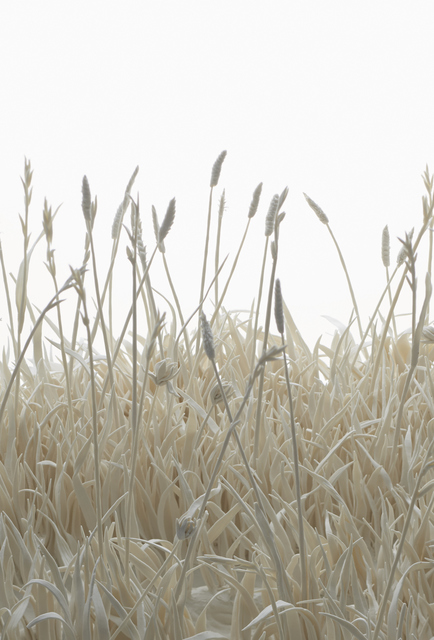 Katie Spragg - 1 Artwork, Bio & Shows on Artsy