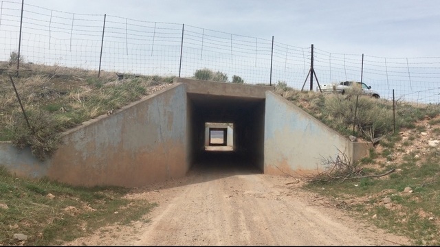 Susan Salinger - 1 Artwork, Bio & Shows on Artsy