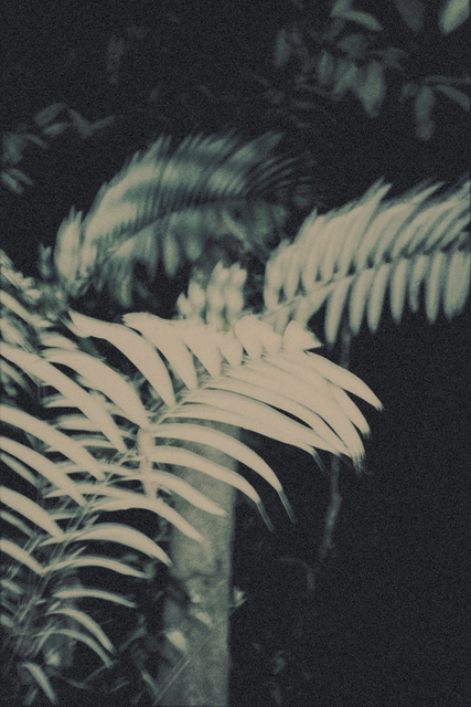 Smith - 4 Artworks, Bio & Shows on Artsy