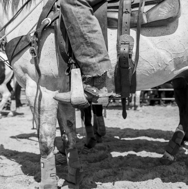 Jeremy Brenner - 2 Artworks, Bio & Shows on Artsy