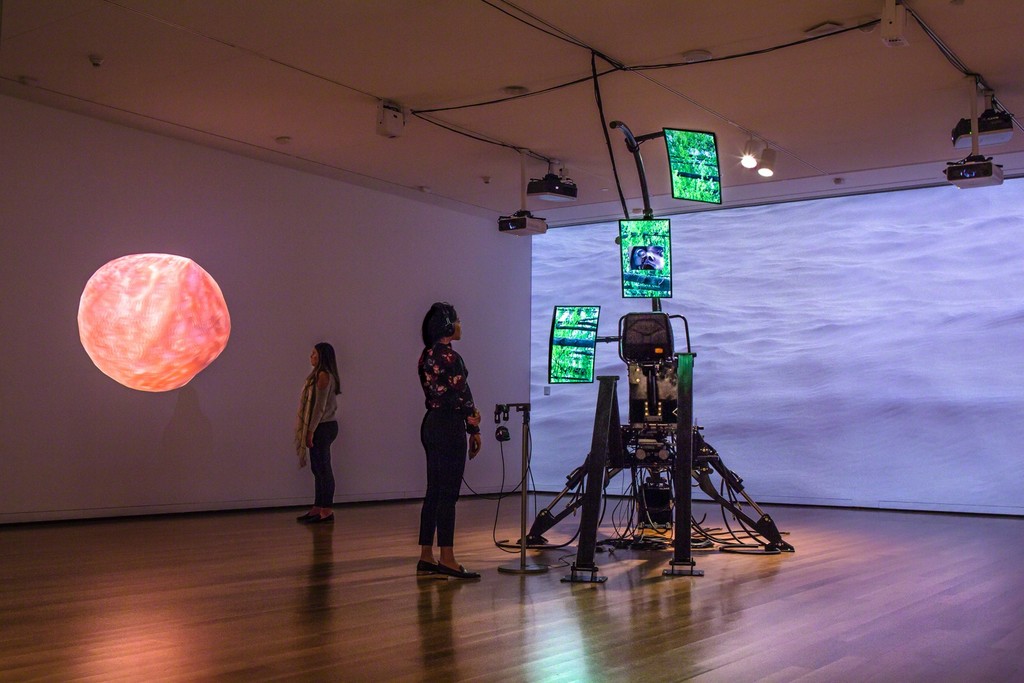 Sondra Perry: Eclogue for [in]HABITABILITY | Seattle Art Museum | Artsy