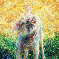Iris Scott - 66 Artworks, Bio & Shows on Artsy