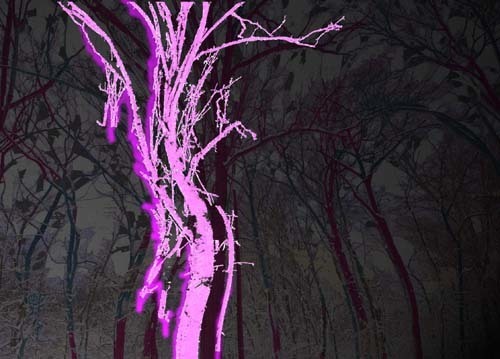 Karen Starika | Trees #5 - Night | Available for Sale | Artsy